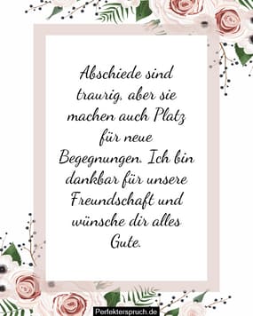 AbschiedsSprüche für Freundin - Abschieds Zitate für Sie