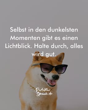 150 Alles wird gut Sprüche mit Bildern zum herunterladen