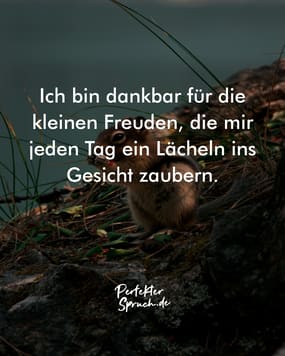150 Dankbarkeit Sprüche mit Bildern zum Herunterladen