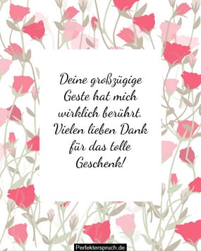 150 DankesSprüche für Geschenk