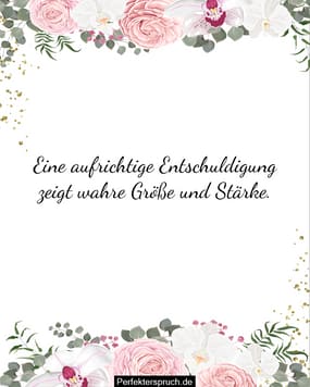 150 EntschuldigungsSprüche und Entschuldigungszitate
