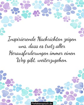 150 Inspirierende Sprüche und Zitate über das Leben