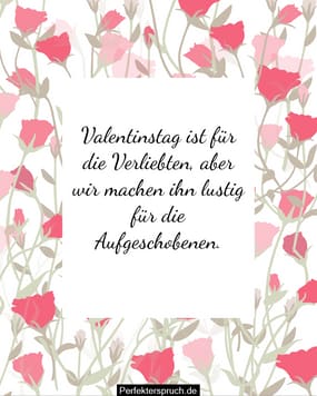 150 Lustige ValentinstagsSprüche, Wünsche und Zitate