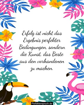 Erfolgswünsche: Beste Wünsche und Sprüche für Erfolg