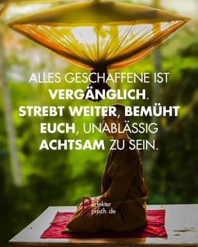 140 Sprüche zum Nachdenken mit Bildern zum herunterladen