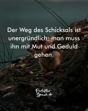 150 Schicksal Sprüche mit Bildern zum herunterladen (2024)