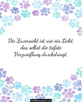 Zuversicht-Sprüche und Zitate, um Selbstvertrauen zu stärken