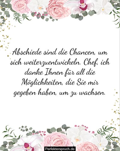150 AbschiedsSprüche für den Chef - Auf Wiedersehen Wünsche