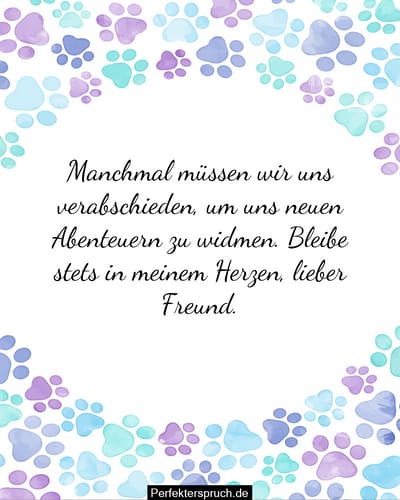 150 AbschiedsSprüche und Zitate für den Freund