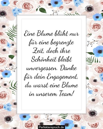 AbschiedsSprüche für Mitarbeiter und Personal