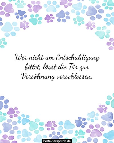 150 EntschuldigungsSprüche und Entschuldigungszitate