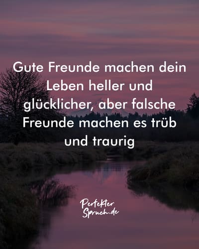 150 Falsche Freunde Sprüche mit Bildern zum herunterladen