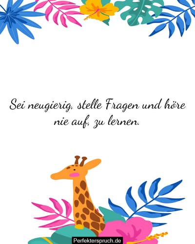 150 Motivierende und ermutigende Sprüche für Schüler