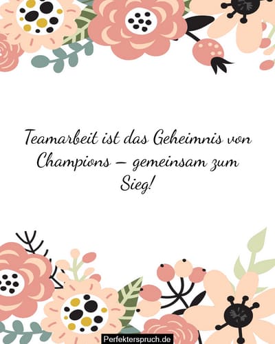 150 Beste Teamarbeit Zitate und Sprüche