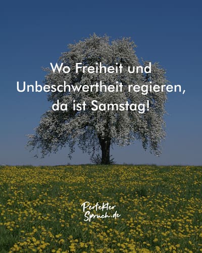 150 Samstag Bilder zum herunterladen und teilen (2024)