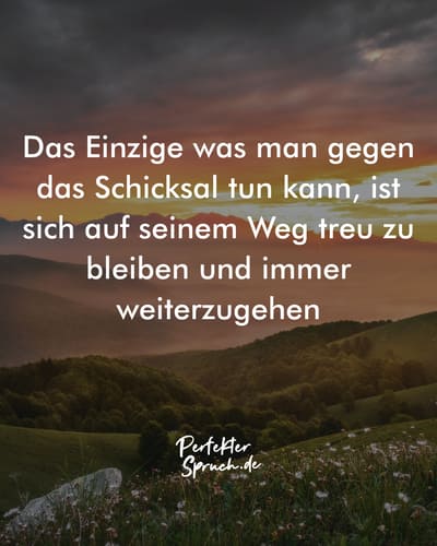 150 Schicksal Sprüche mit Bildern zum herunterladen (2024)