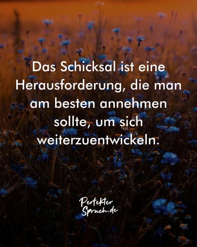 150 Schicksal Sprüche mit Bildern zum herunterladen (2024)