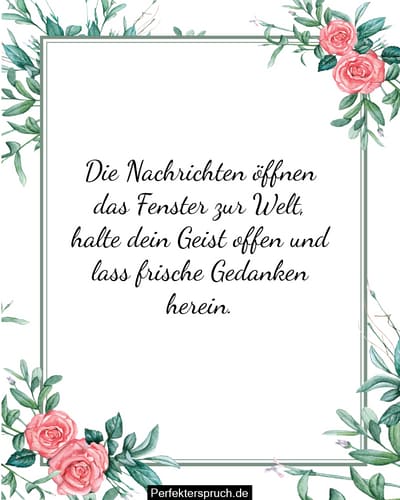 Sprüche und Zitate, die Dir meine Gedanken übermitteln