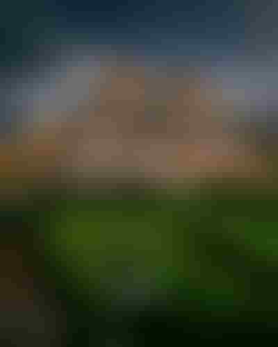 150 Alles wird gut Sprüche mit Bildern zum herunterladen