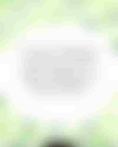 150 Glückwünsche zum 78. Geburtstag mit Bildern