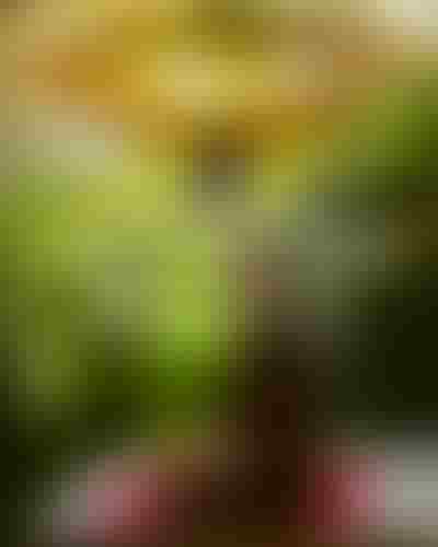 140 Sprüche zum Nachdenken mit Bildern zum herunterladen