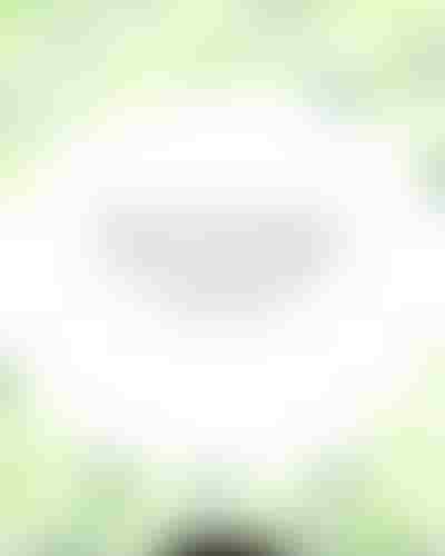 150 Ruhe in Frieden Sprüche und RIP Zitate